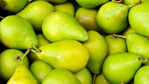 30 цікавих фактів про груші